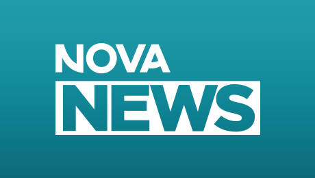 Всички програми на NOVA TV онлайн - Nova Play