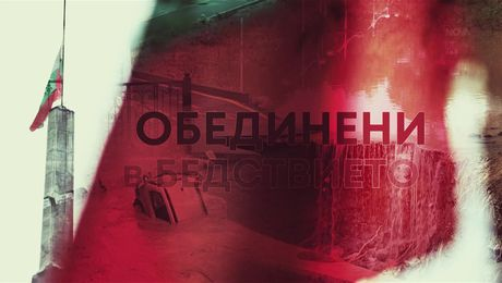 Всички програми на NOVA TV онлайн - Nova Play